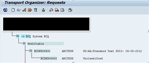 Create And Transport Standard Text So10 Sap Community