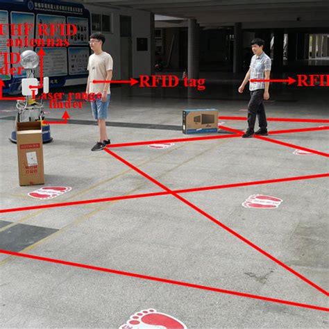 Complex Paths Experimental Setup Download Scientific Diagram