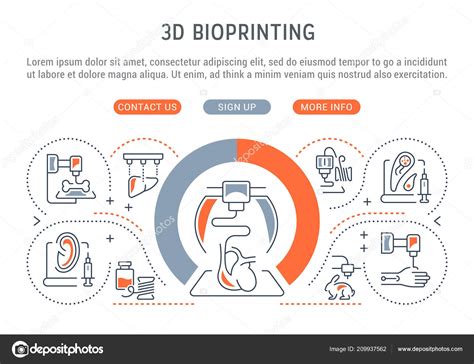 Line Banner Bioprinting Vector Illustration Model Human Organs Stock Vector By ©andrei45454