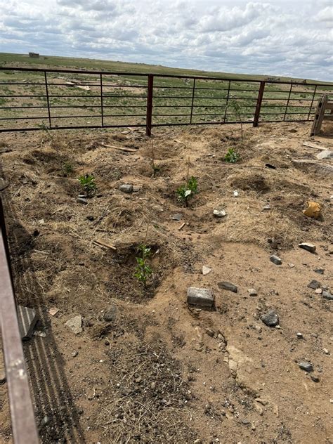 Пүрэвийн Түвшин Пүрэвийн Түвшин Added A New Photo