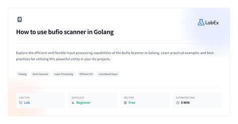 How To Use Bufio Scanner In Golang Labex