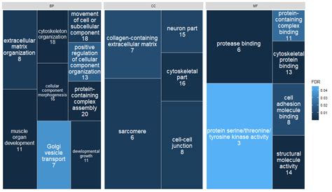 Facet Wrap In Treemap General Posit Community