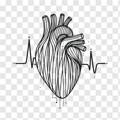 투명 배경에 인간의 마음의 3d 그림 인간의 마음의 3d 그림 투명 배경에 인간의 마음의 3d 그림 마음 Png 일러스트 및 이미지 에 대한 무료 다운로드 Pngtree