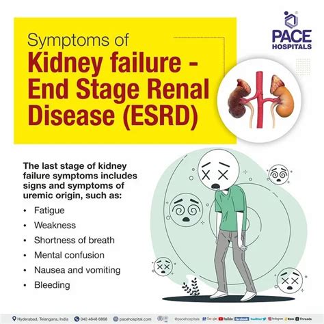 7 Powerful Ways To Navigate Life With Renal Disease
