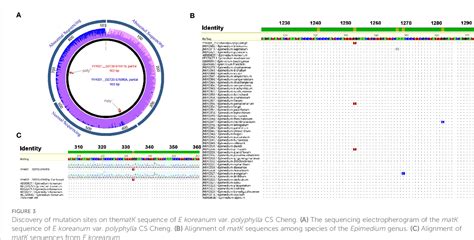 Figure 3 From Dna Barcoding And Comparative Rna Seq Analysis Provide New Insights Into Leaf