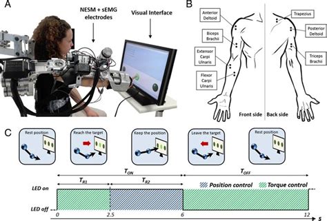 [article] Detection Of Movement Onset Using Emg Signals For Upper Limb Exoskeletons In Reaching