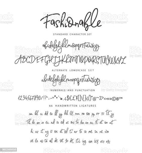 Handrawn 벡터 알파벳입니다 스크립트 글꼴에 대 한 편지입니다 0명에 대한 스톡 벡터 아트 및 기타 이미지 0명 검은