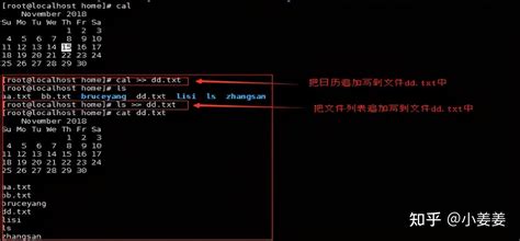 Linux最常用的 个命令适合初学者练习 知乎