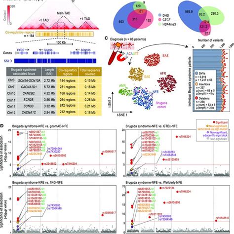 Deep Genotyping Of Cis Regulatory Regions In Brugada Associated Loci Download Scientific Diagram