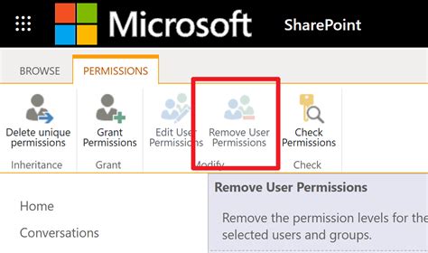 How Do I Remove The Microsoft 365 Group Permissions From A Sharepoint