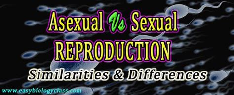 Difference Between Sexual And Asexual Reproduction Easybiologyclass