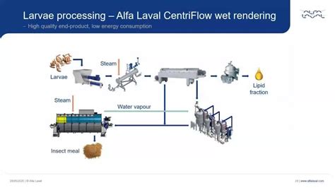 Webinar Insect Processing Part 6 Wet Rendering Process Youtube