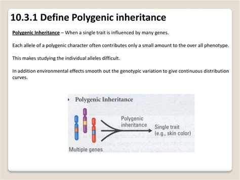 Polygenic Traits Examples Polygenic Traits Examples