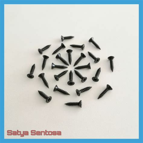 Jual Sekrup Kecil Hitam 5 X 12 Mm Skrup Tapping Hitam 12 Mm 100 Pcs
