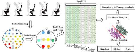 Sitting And Standing Intention Detection Based On The Complexity Of Eeg Signal