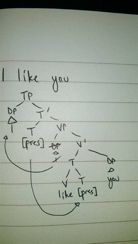 How Do Syntax Trees Work For Vso Languages Conlangs