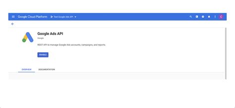 Google Ads API Integration Using Postman Tutorial