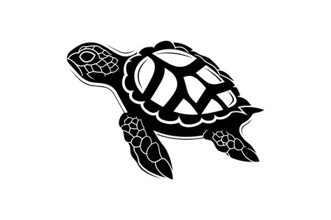 Turtle Graphic By Mahak Arts Creative Fabrica