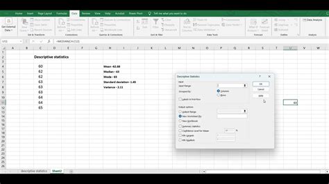 A9 Descriptive Stats Using Excel Data Analysis Toolpak Youtube
