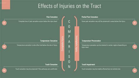 Effects Of Injuries On The Tract Spinothalamic Tract Ppt Guidelines Acp