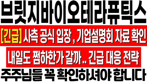 브릿지바이오테라퓨틱스 주가 전망 기업설명회 자료 확인 내일도 하한가 갈까 브릿지바이오테라퓨틱스 대응 전략 브릿지바이오 Ir 브릿지바이오테라퓨틱스 주식 분석