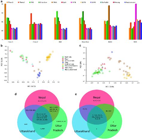 Haplotype Sharing And Haploid Genetic Diversity Among Tharu And
