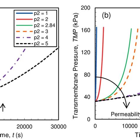 Model Predictions For The Transmembrane Pressure Tmp Rise With Download Scientific Diagram