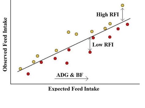 How Has Selection For Residual Feed Intake Rfi Affected Nursery And
