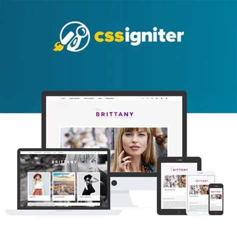 CSS Igniter Brittany WordPress Theme ToolsZilla