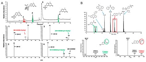 Molecules Free Full Text Recent Advances In Mass Spectrometry Based Structural Elucidation