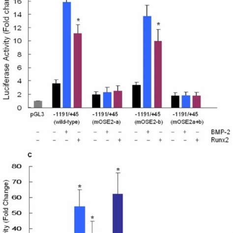 Bmp 2 And Runx2 Stimulate And Smurf1 Inhibits Smad6 Mrna And Protein Download Scientific