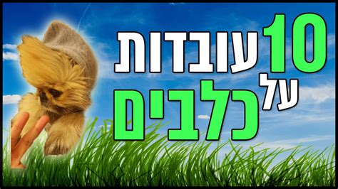 10 עובדות על כלבים Youtube