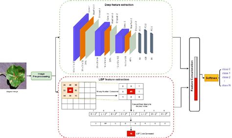 Figure 1 From Multi Class Classification Of Plant Leaf Diseases Using