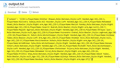 lookup activity output read custom activity and generate output txt