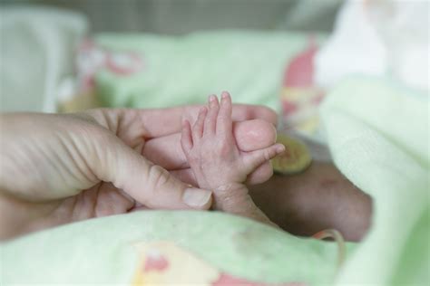 Combined Probiotics Use May Help Reduce Pre Term Infant Mortality