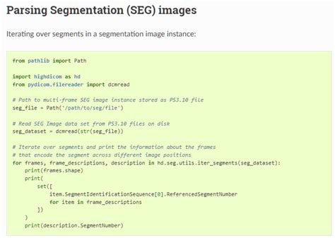 Conversion Of Dicom Segmentation Object To Nifti File · Issue 218