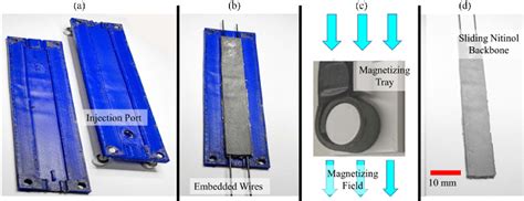Figure 4 From A Magnetically Actuated Coiling Soft Robot With Variable