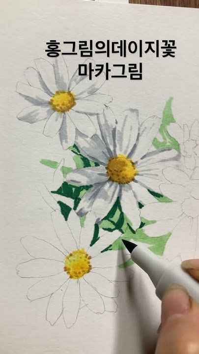 아트엑스 쇼츠 Shorts 마카그림 데이지 Youtube