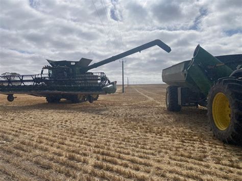 cbh confirms this crop biggest ever for wa grain central