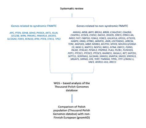 Workflow For Assessing The Prevalence Of Germline Mutation Predisposing Download Scientific