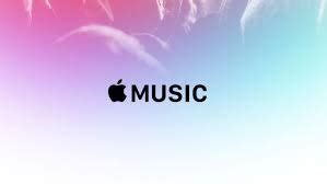 6 Tips To Fix Music Not Showing Up On IPhone