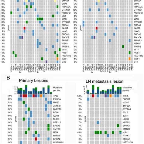 The Mutational Landscape Of Primary Lung Cancer And Its Matched Ln