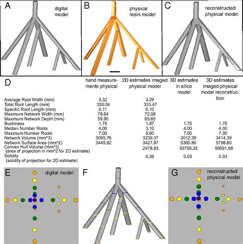 3d Phenotyping And Quantitative Trait Locus Mapping Identify Core Regions Of The Rice Genome