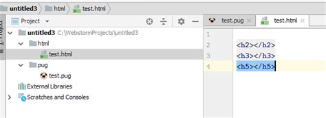 Phpstorm In Webstorm Dont Work Pugs Argument Pretty Stack