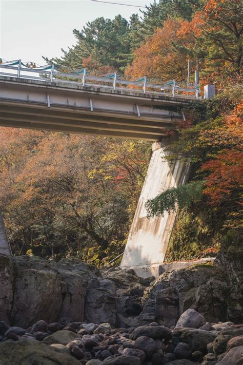 제주 단풍 명소 Best 3