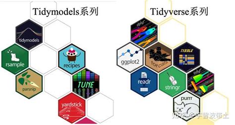 R语言：tidymodels机器学习应用流程