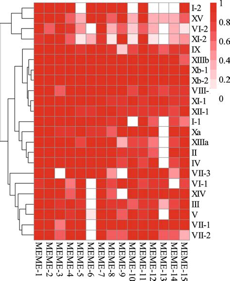 The Heatmap Represent The Ratios Of The Number Of Genes Containing The