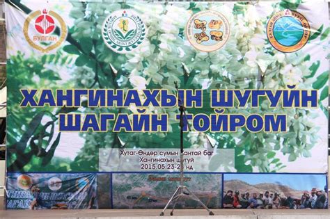 Найман аймгийн 24 багийн 200 гаруй шагайчид цэц мэргэнээ сорилоо