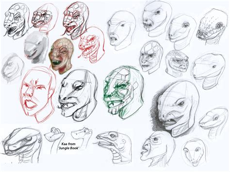 Faith Wong SNAKE DEVELOPMENT After Looking At A Lot Of