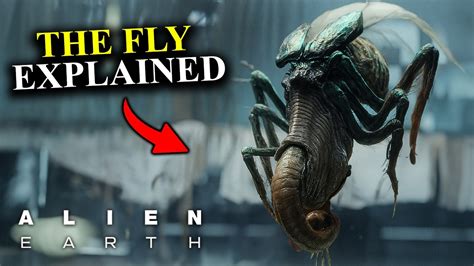 Alien Earth The Fly Explained Youtube